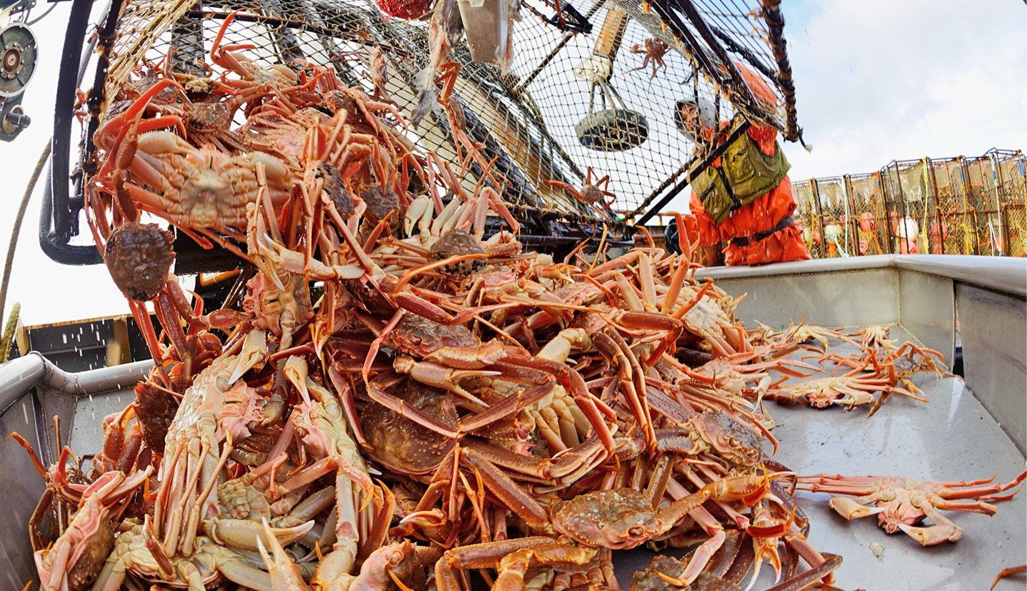 ประเภทอาหารทะเลของอลาสก้า - Alaska Seafood